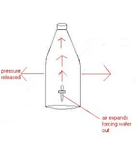 Chem blog: Cartesian divers