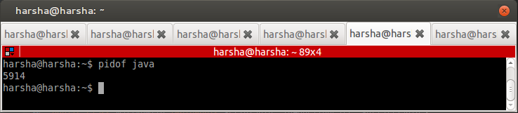 Milestones: How to find the process ID of running process and kill a ...