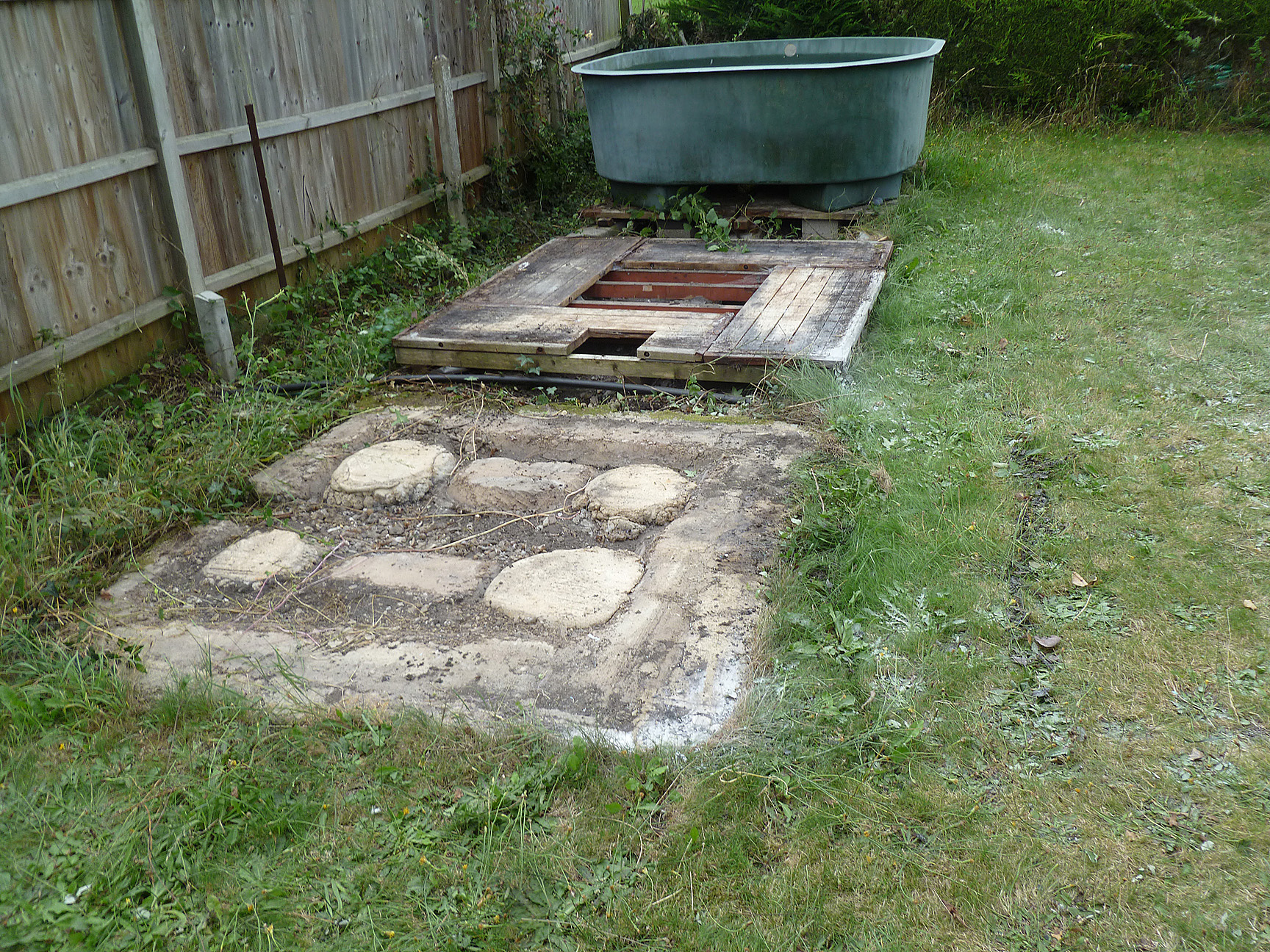 Avon Roach Project: 2020