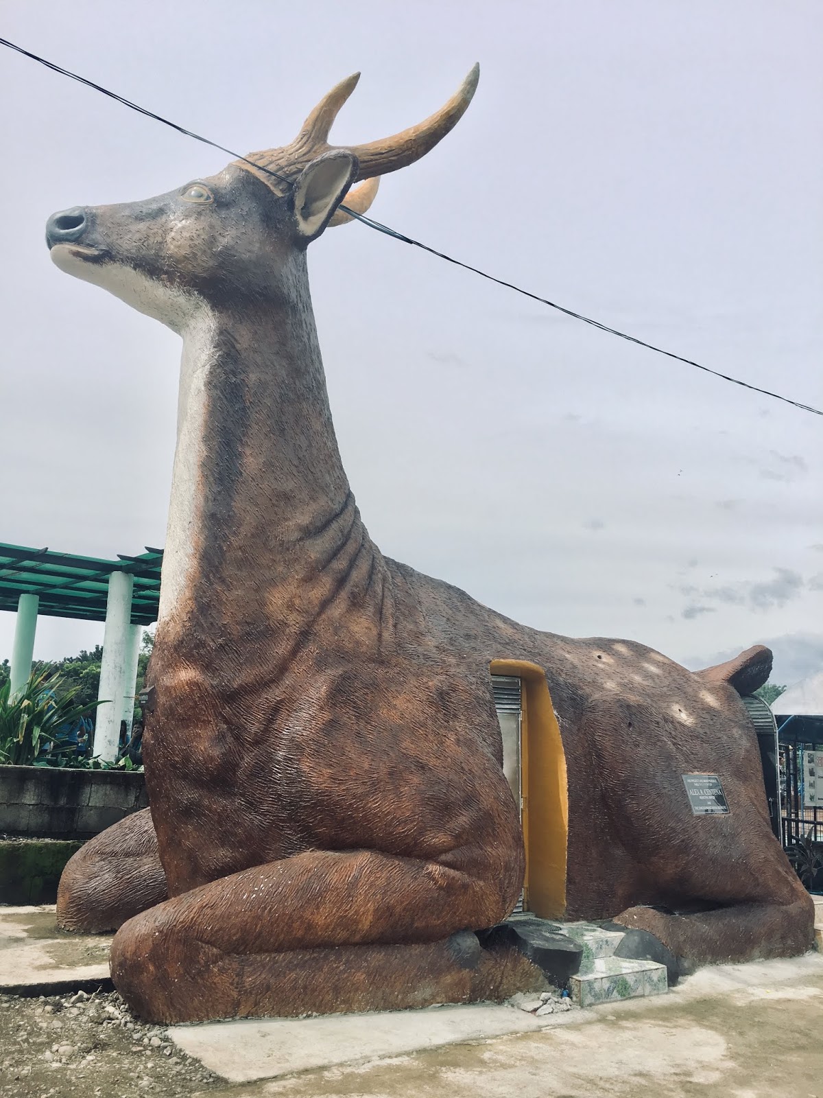 3rd Tourism Week of Calinog + More