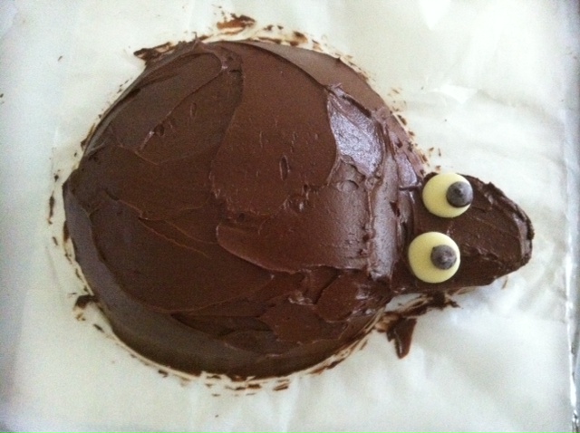 Echidna Cake - Animals in Autumn - Melbourne Cake Club | Laws of the ...