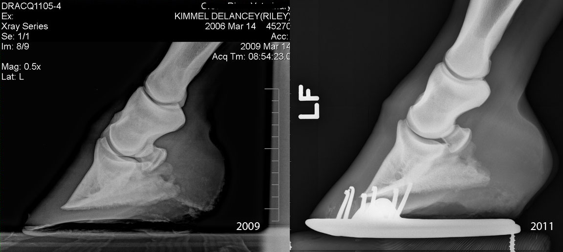Behind the Bit: Ri's rad radiographs