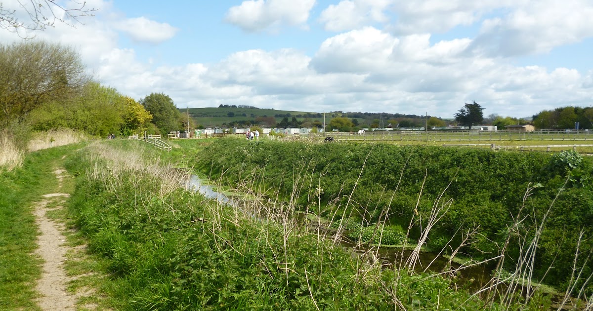 A dog walk along the Rife stream at Ferring in West Sussex