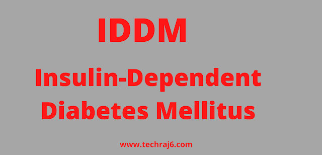 IDDM full form, What is the full form of IDDM