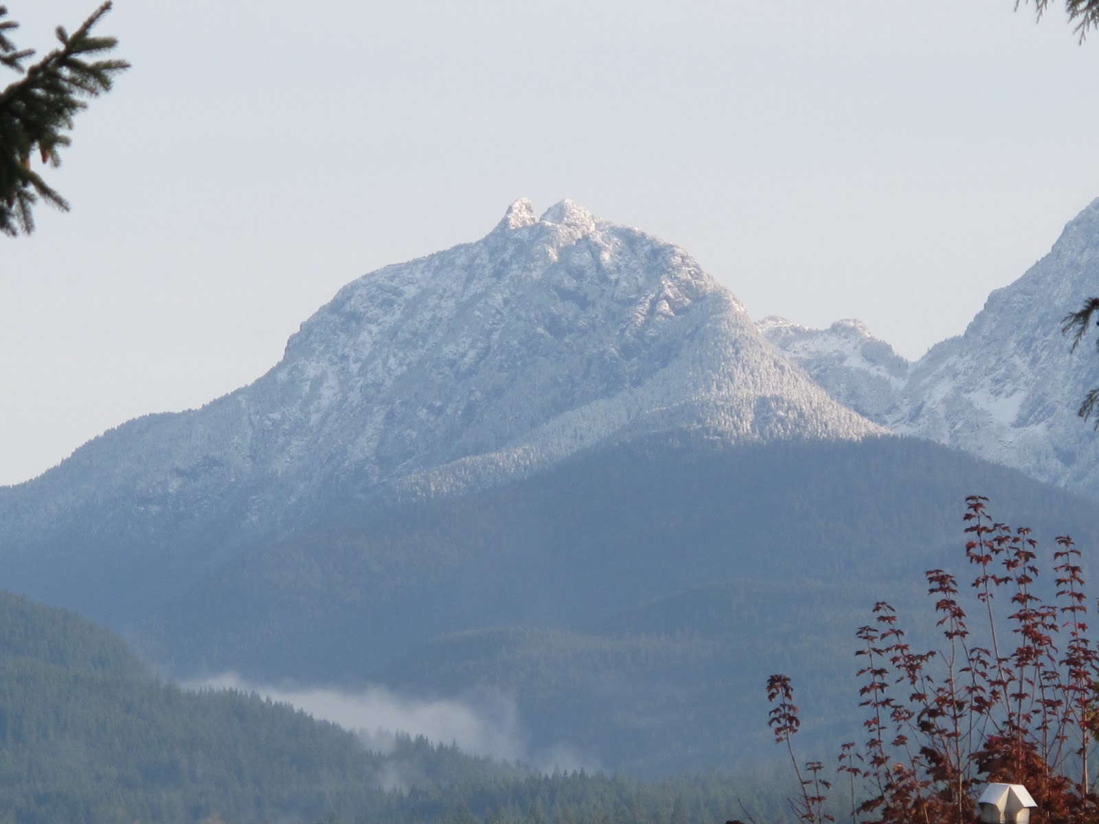 Maple Ridge Daily Photo