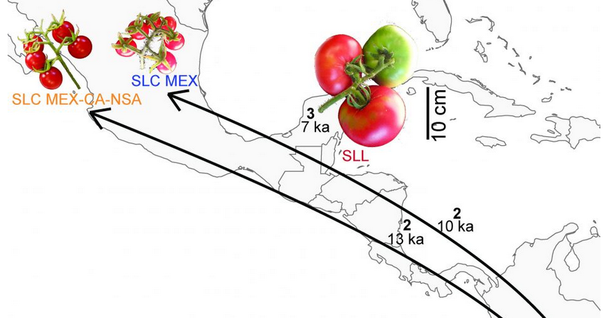 Earthly Musings - My Travel and Geology Blog: The Origin of the ...