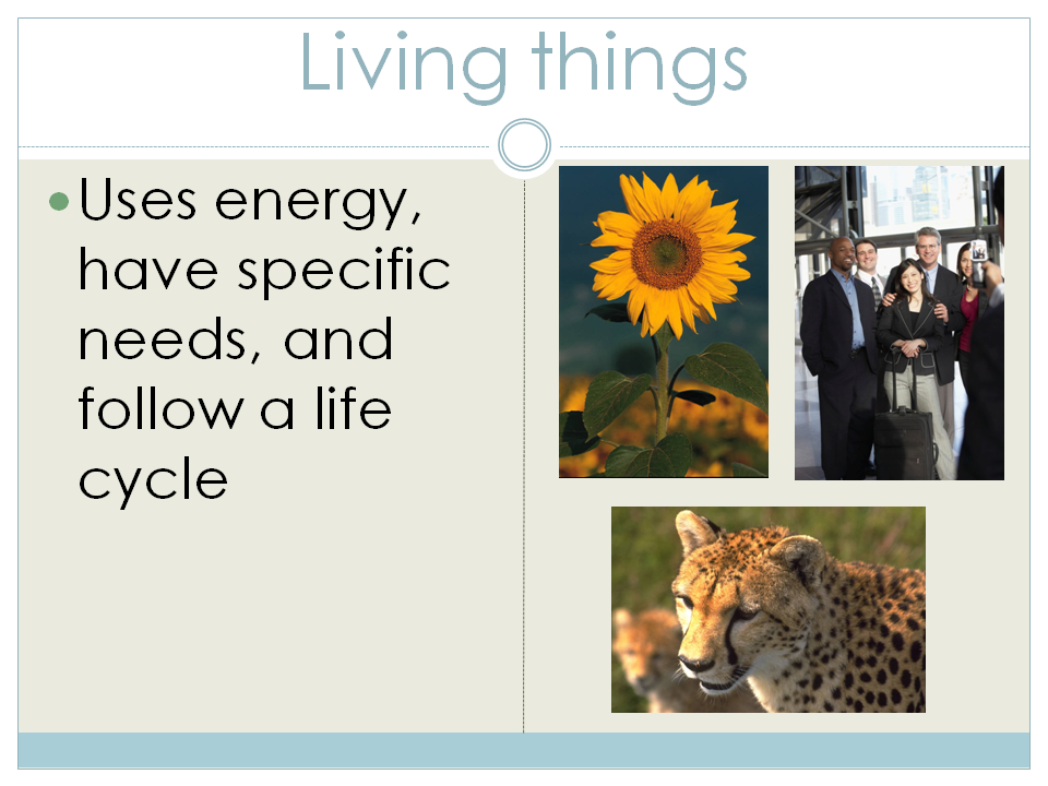 Third Grade Thinkers: Science Vocabulary- Living and Nonliving things