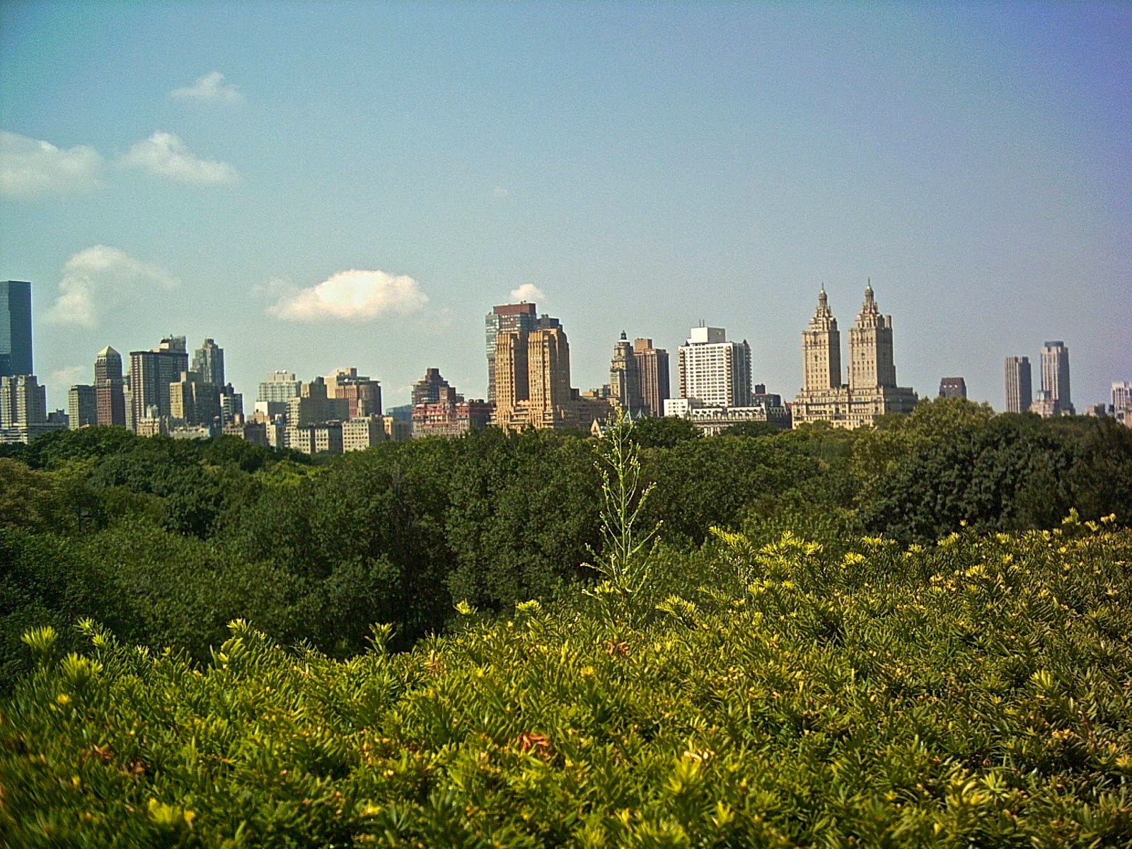 Sharon's Sojourns: Iconic New York Scenes