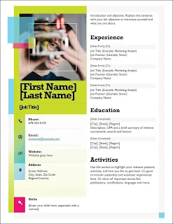 Graphical CV Format - PDF - DOC
