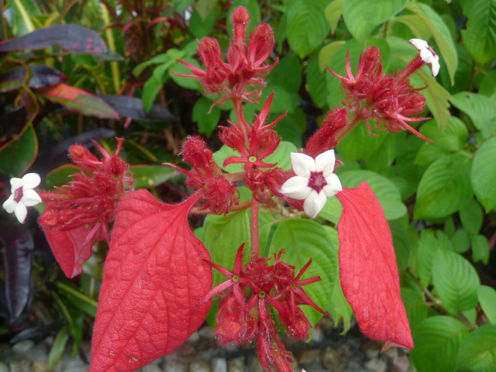 Adventures in PEI and Beyond!: A Visit to the Dentist & Beautiful ...