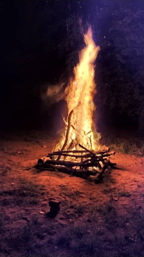 Campaña de DRAGON AGE en el club ARS LUDICA. Sesión 12. Los elfos ...