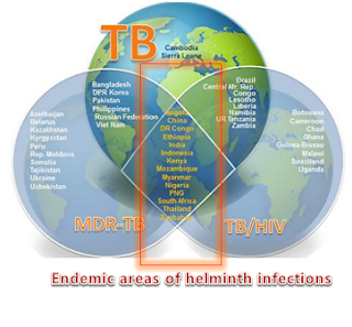 Tuberculosis and Helminths: Society and the disease burden