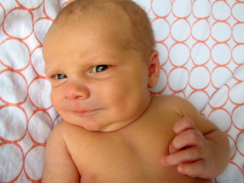 The Dowells Dax A Doodle Is 3 Weeks the-dowells-dax-a-doodle-is-3-weeks