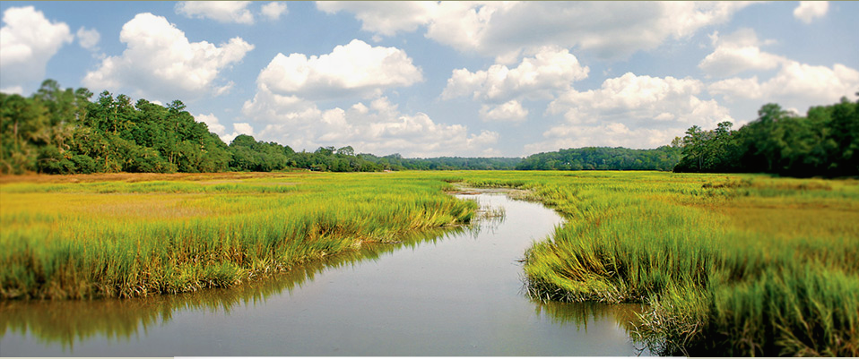 B E Interiors Salt Marsh Inspiration b-e-interiors-salt-marsh-inspiration
