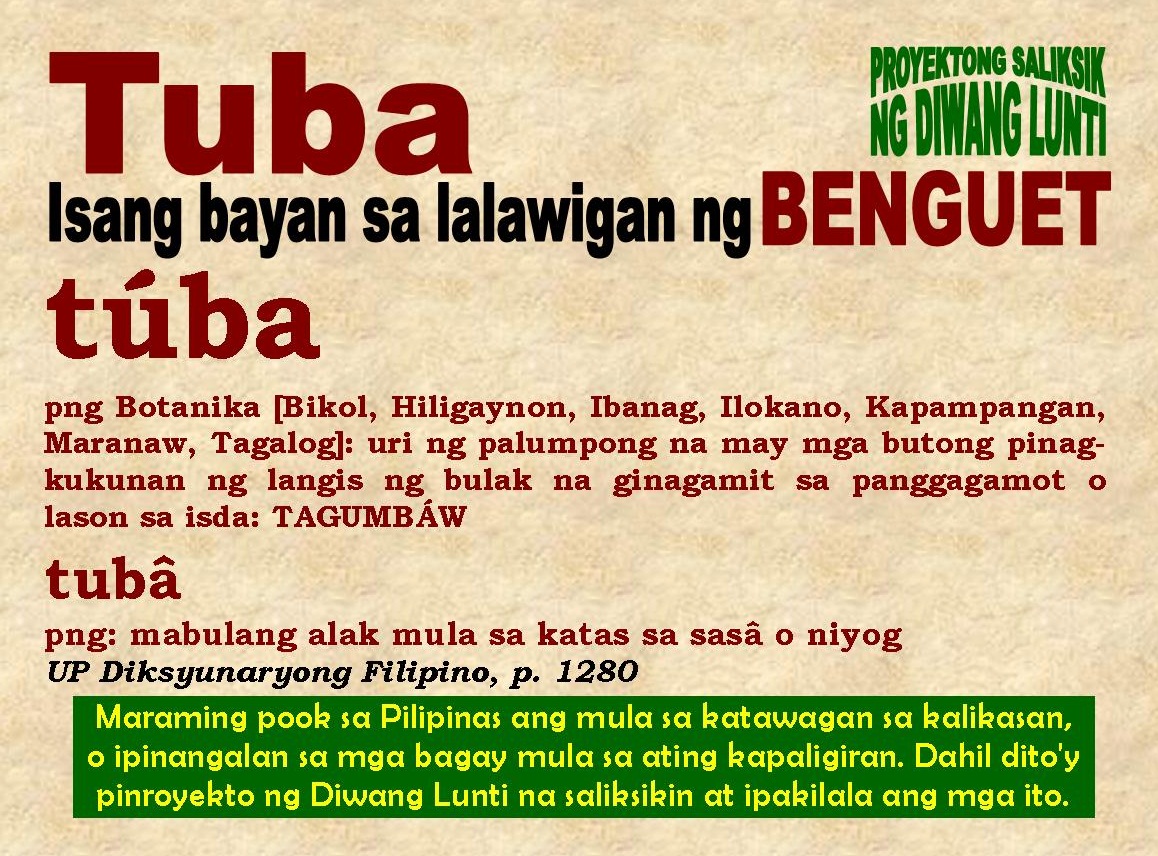 Diwang Lunti: Salitang pinagmulan ng bayan ng Tuba sa Benguet