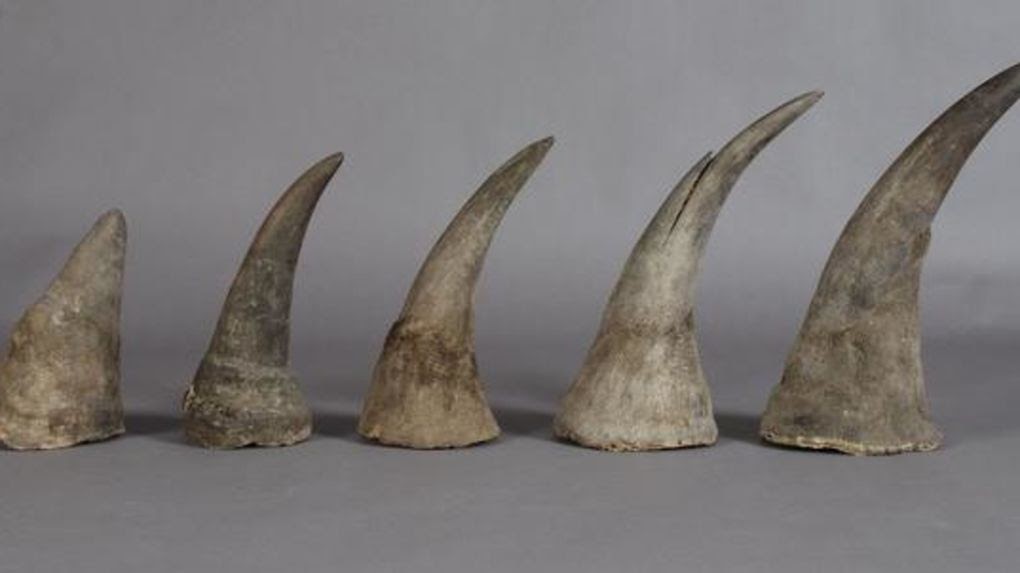 ÉGLISE DANS LES CŒURS: L’ANTÉCHRIST, LA ONZIÈME CORNE