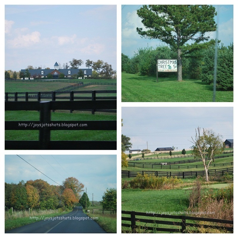 Joy's Jots, Shots & Whatnots: Sunday Drive on Friday in October