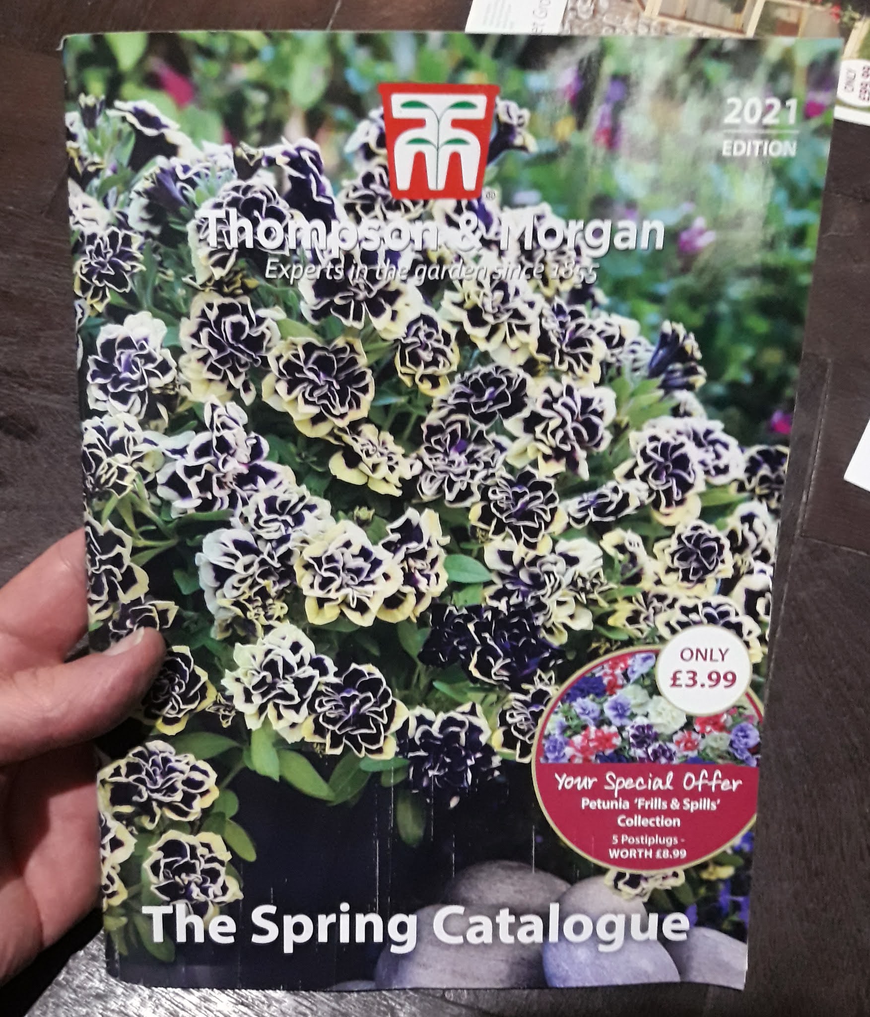 Epimundo Blog: Freebies