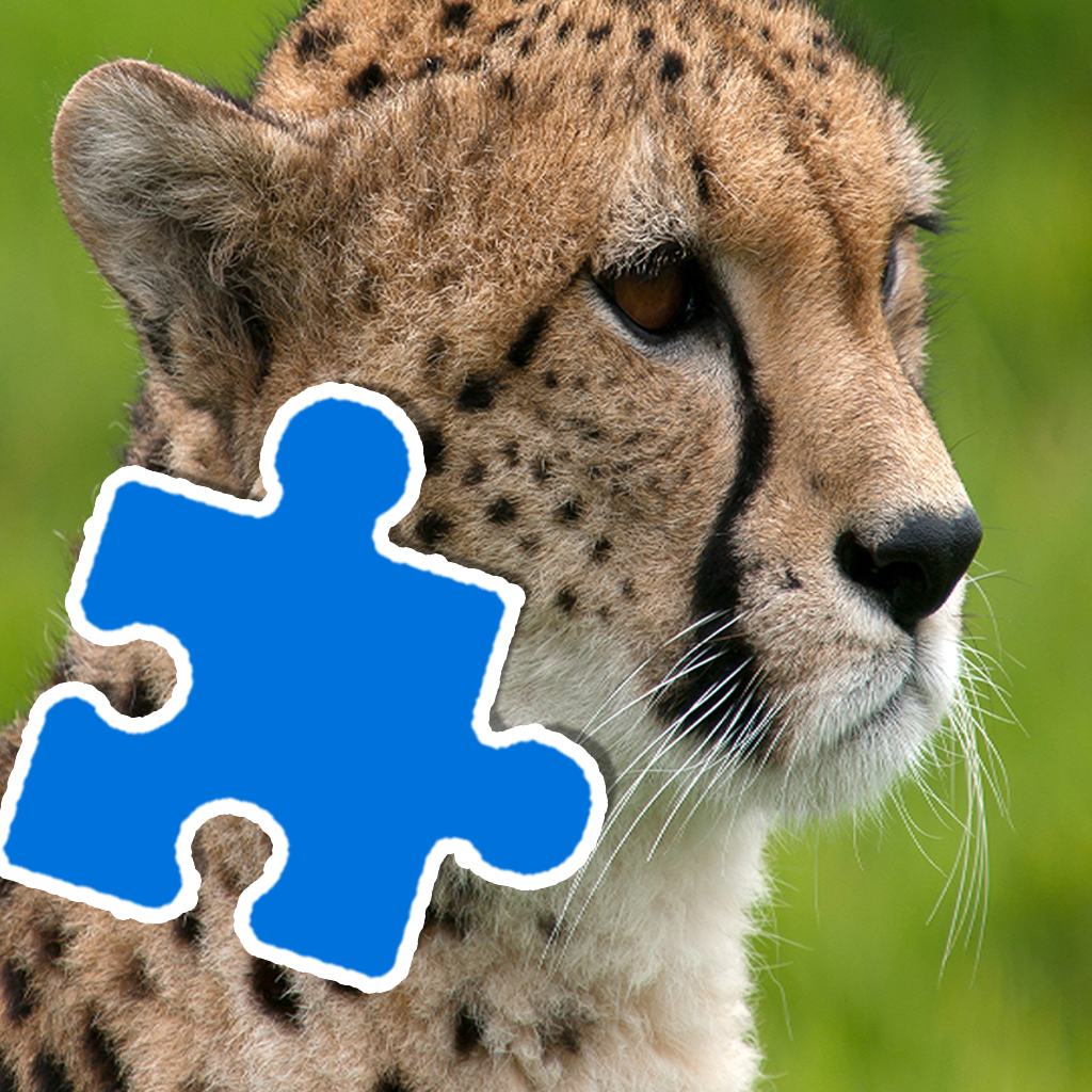 Puzzle Cheetah Games For Kids Learn Version