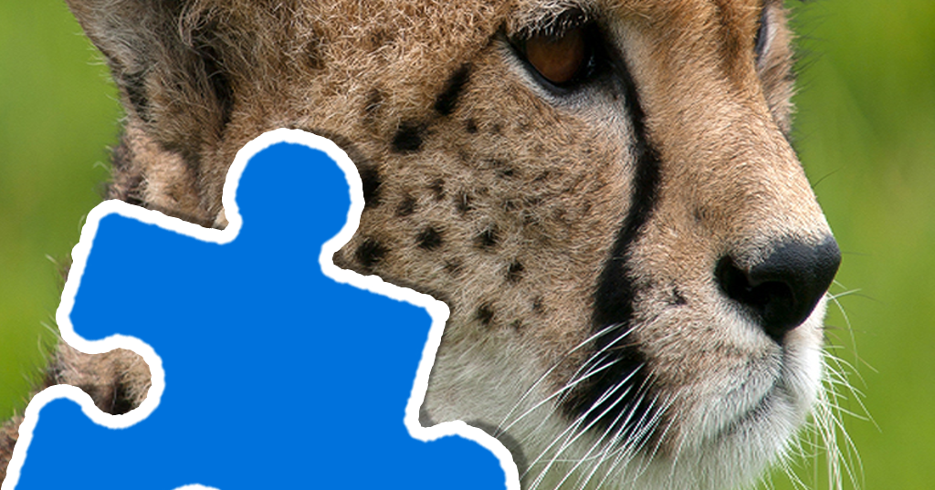 Puzzle Cheetah Games For Kids Learn Version