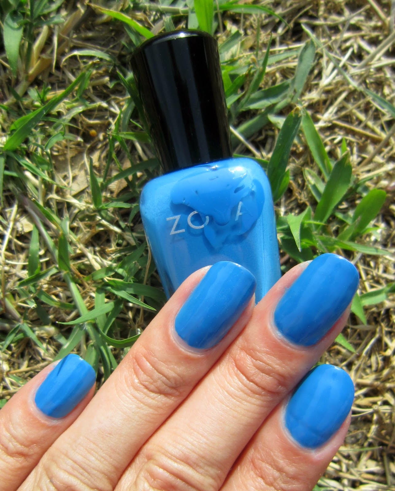 Zoya Breezi Vs Robyn