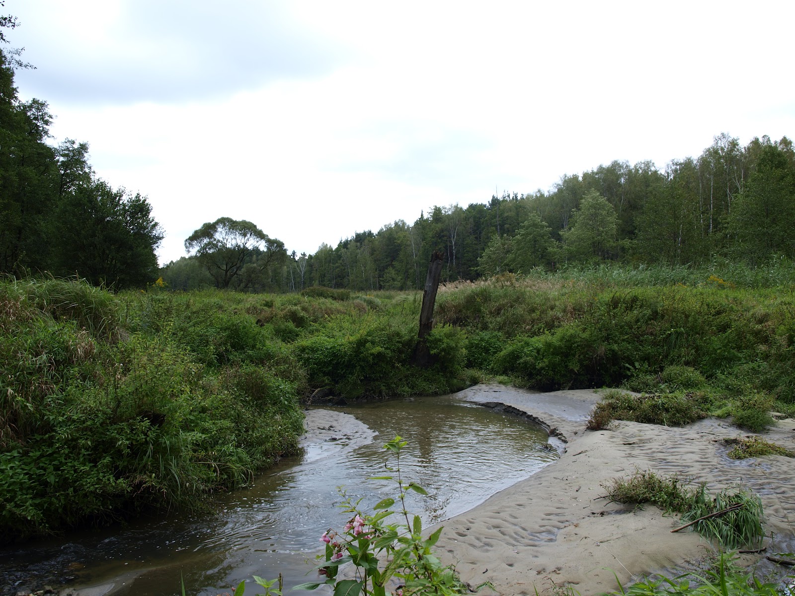 SightWay: The Jamna Valley