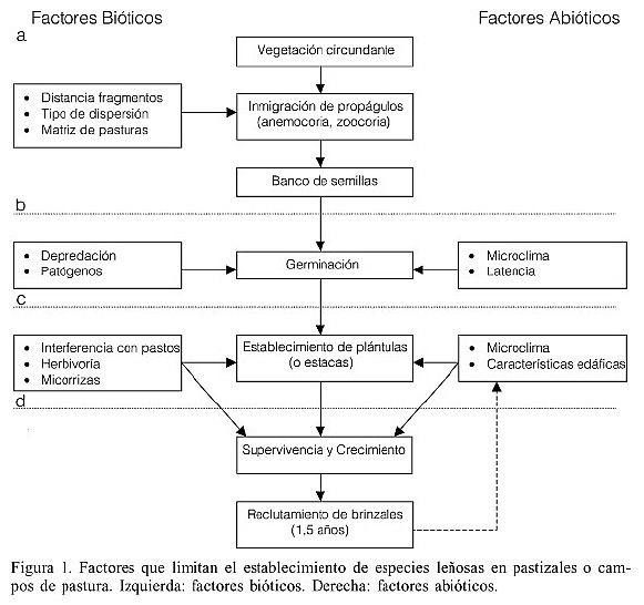 científicos loquiños: factores limitantes