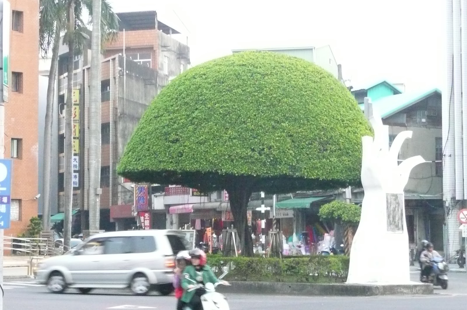 mike in taipei -again: Chiayi -> Alishan -> Budai -> Puzi