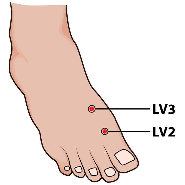 Increasing Your Energy and Supporting Your Wellbeing