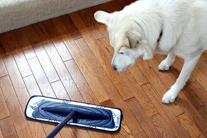 5 Ways to Keep Your Floors Clean with Kids & Pets | Sunny Day Family
