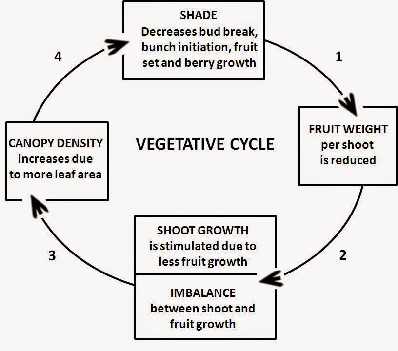 EnoViti: Sunlight into Wine by Richard Smart
