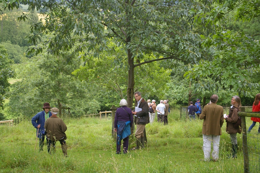 John Grimshaw's Garden Diary: Oaks at Chevithorne Barton