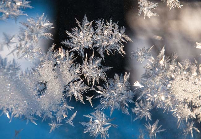 Chris Zimmer: Sub-Zero Frosty Fractals