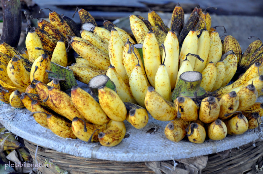 6 Jenis Buah Pisang dan Cara Memasaknya! | Resep Nusantara