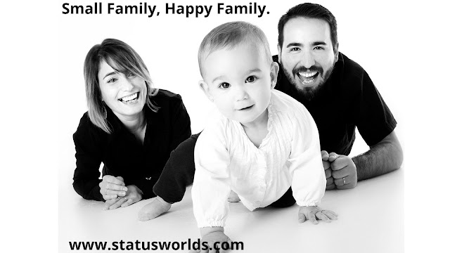 301+ Best Family Status & Quotes [ 2022 ] For A Family Lover - Status World
