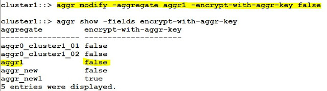 Remote Infrastructure Management Netapp Storage Encryption Nse Nae And Nve
