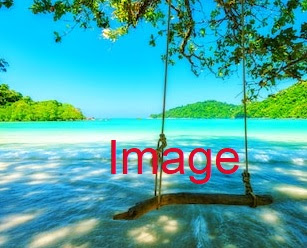 What is Image? Explain Image format.