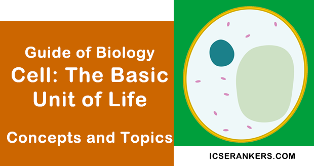 Cells The Basic Unit Of Life Topics And Concepts cells-the-basic-unit-of-life-topics-and-concepts