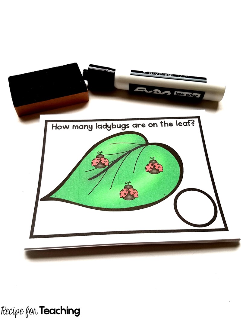 Ladybug Counting - Recipe for Teaching
