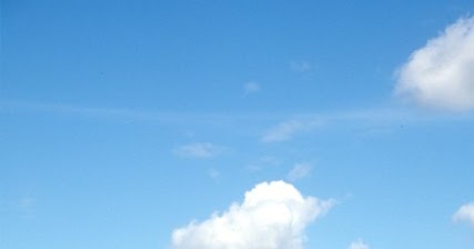 Ferrominera Orinoco Venezuelan Iron Ore