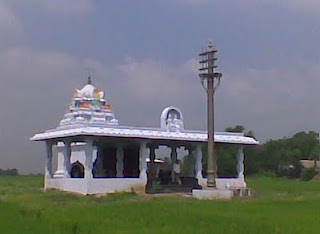 REPALLE: Repalle-repalle