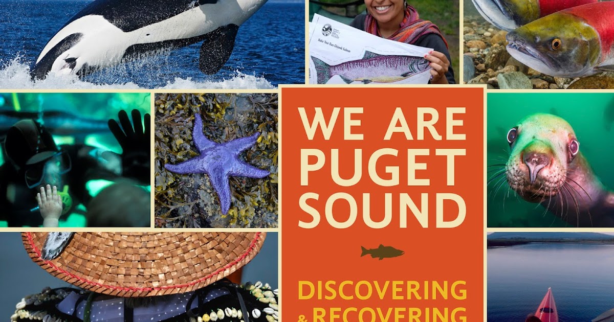 Shoreline Area News: Poster contest: We are Puget Sound