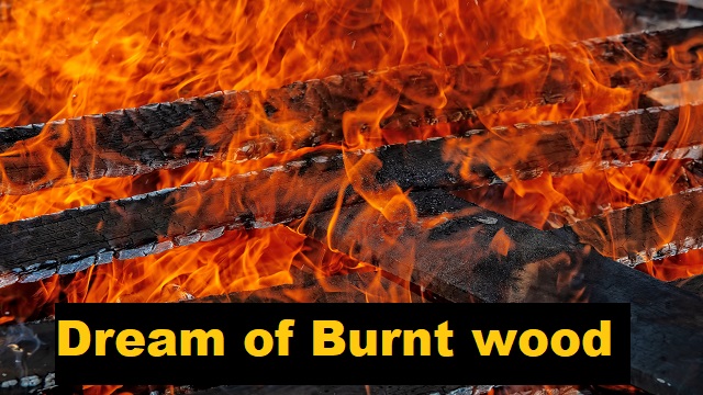 Meaning Of Burnt Wood Seen In Dream Gyan Ka Sagar meaning-of-burnt-wood-seen-in-dream-gyan-ka-sagar