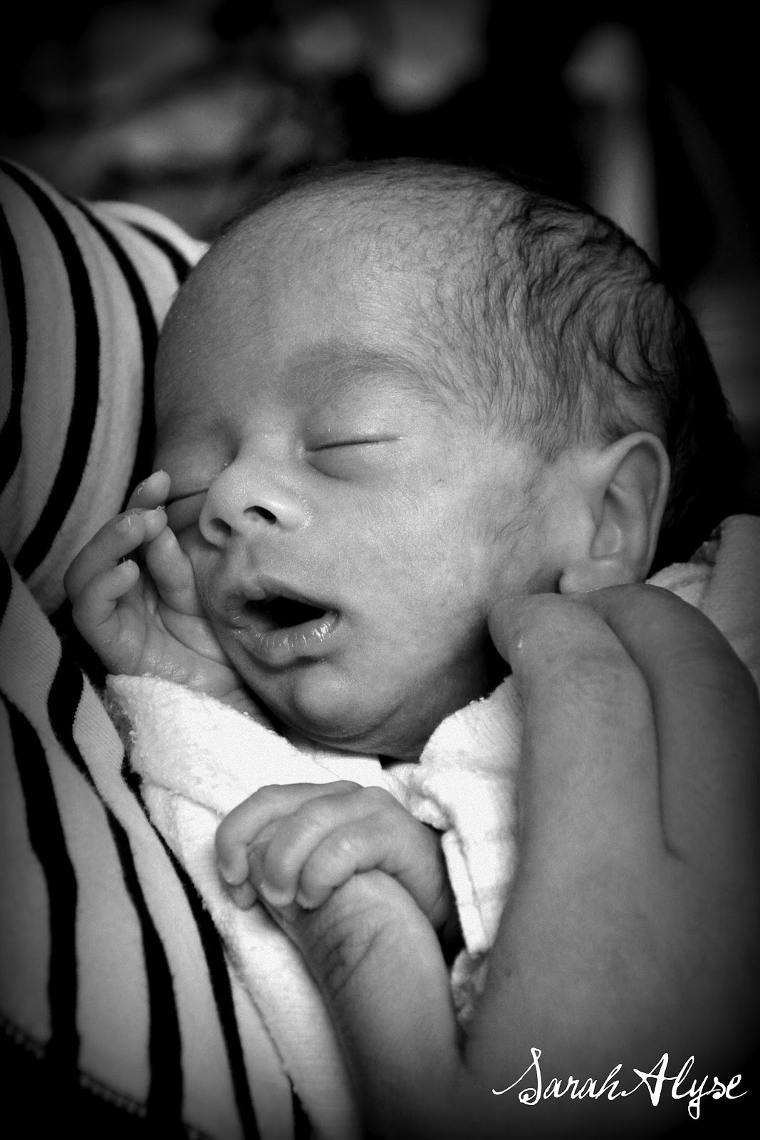 Preemie Prints Information Blog: Preemie Prints NICU Photo Shoot Baby ...