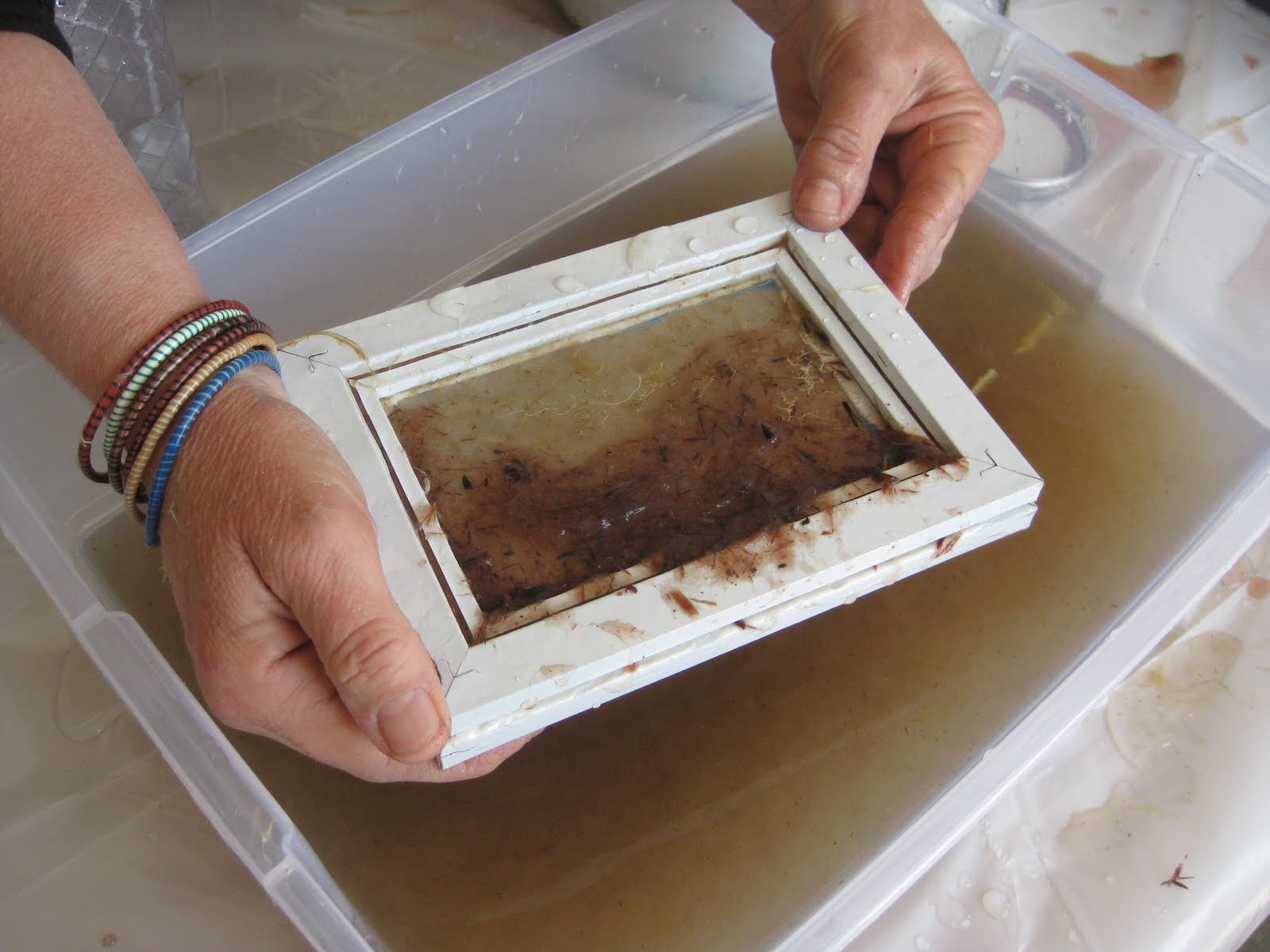 Rocinante Press: Photos from Papermaking from Plants and Exotic Fibers