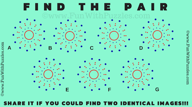 Genius Visual Challenge: Find the Pair Riddle