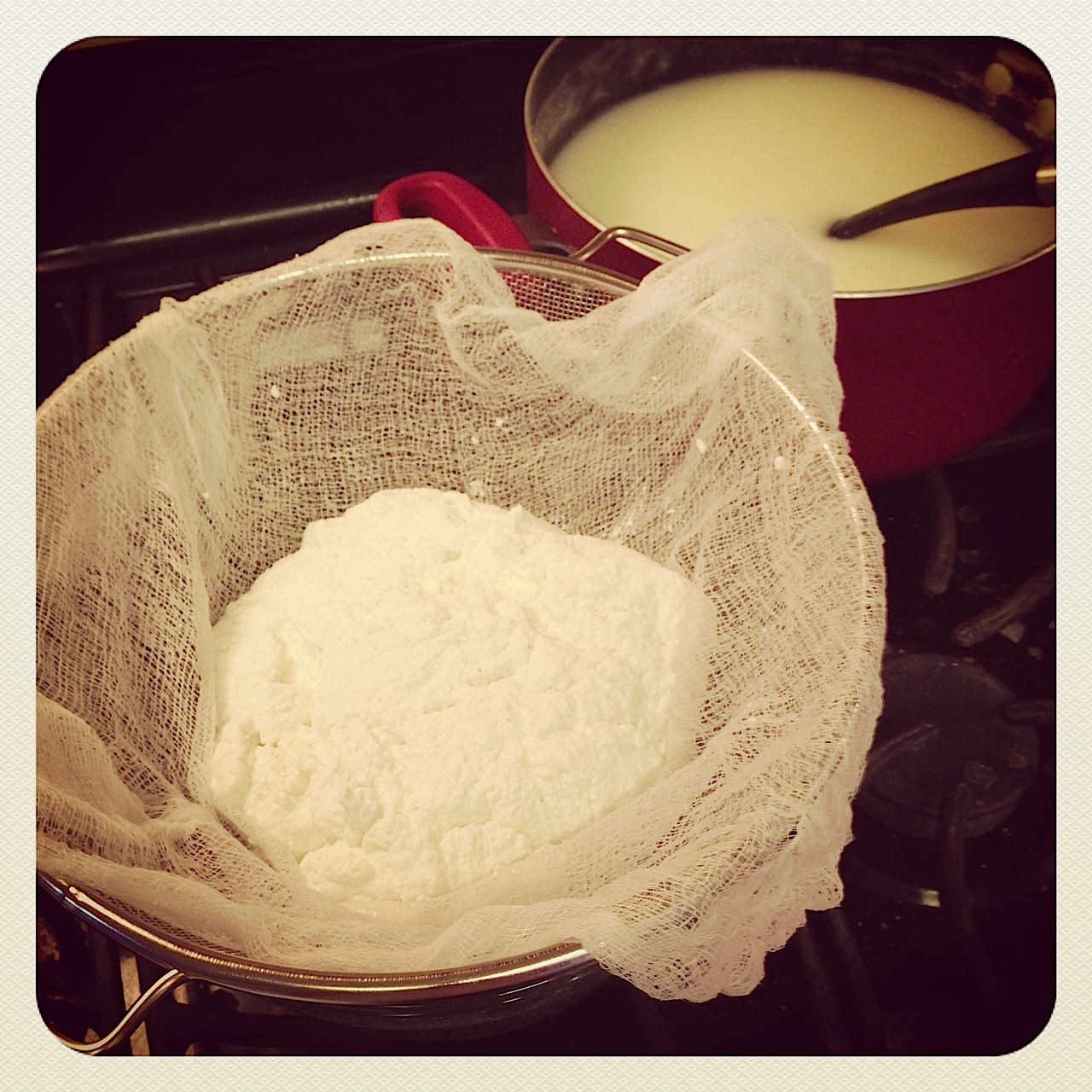 Homemade Ricotta…Eventually. – Everyday Champagne