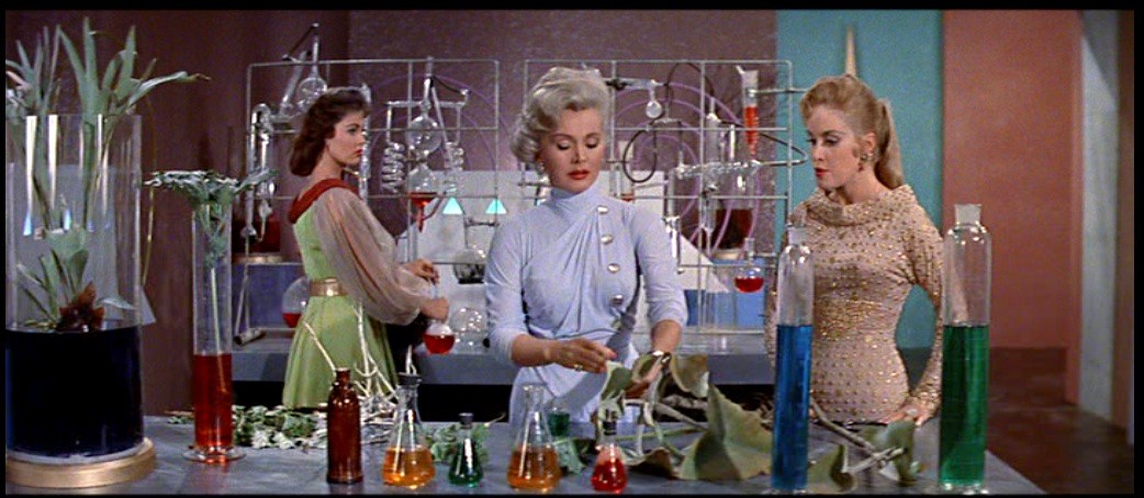 Deja View: Lisa Davis