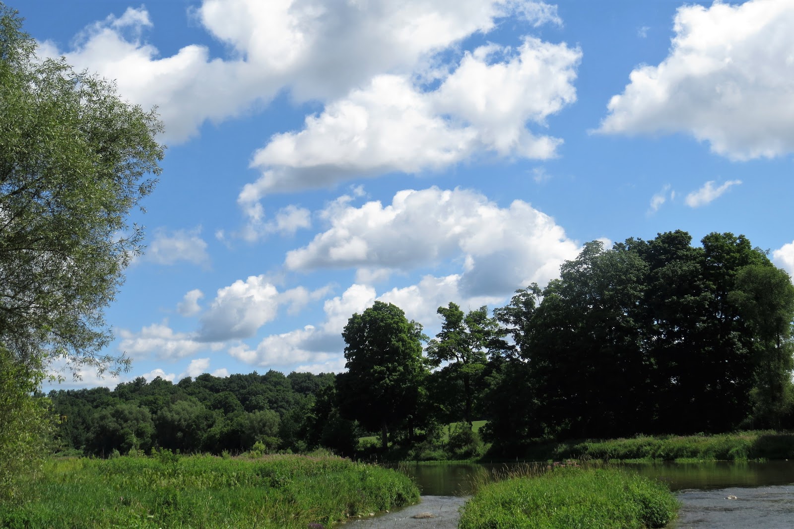 River Song and Chef Bruce Duff - Travels With Birds