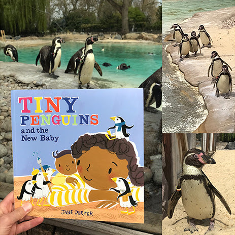 ILLUSTRATION FEATURE The evolution of a Picture Book - Tiny Penguins ...